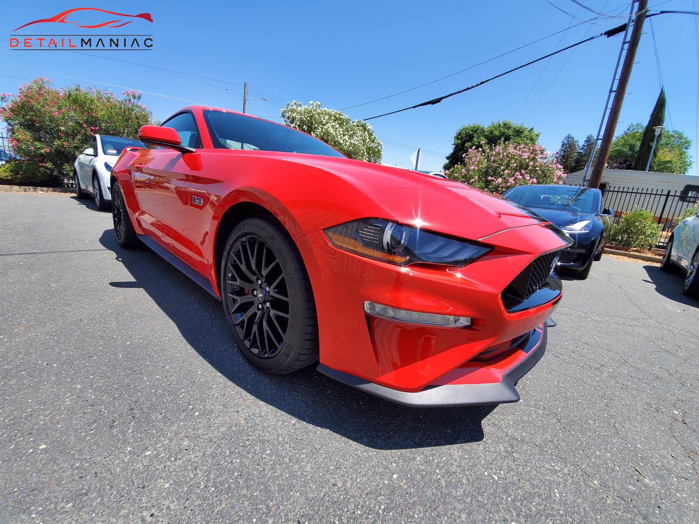 Red Mustang gets PPF in Sacramento! - Sacramento Detailing / Clear Bra ...